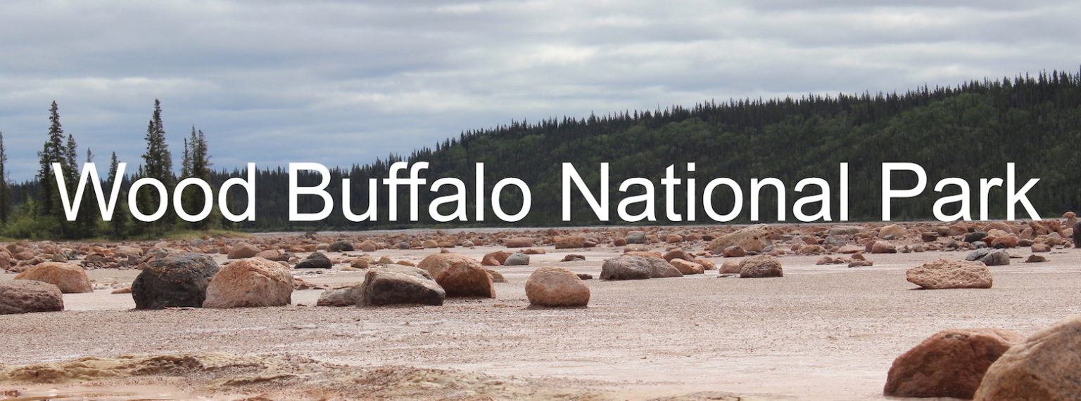 Wood Buffalo National Park – CPAWS NWT